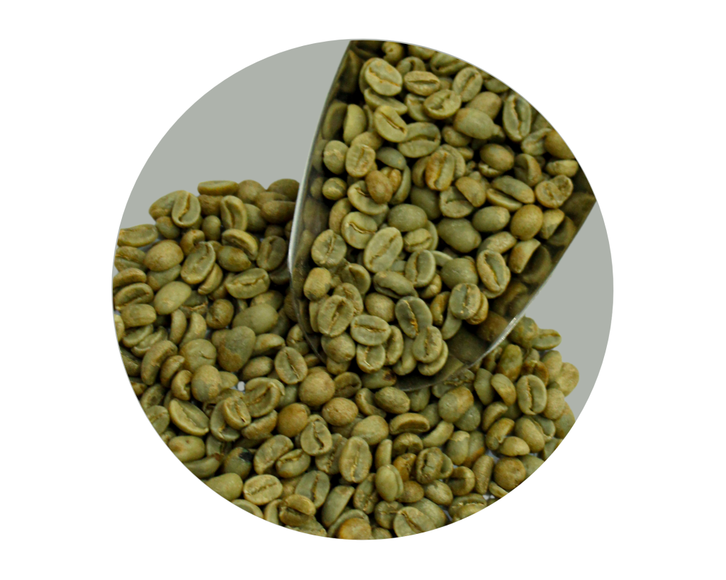 BALI KINTAMANI FULL WASHED ARABICA GR1 TP – Mancafe